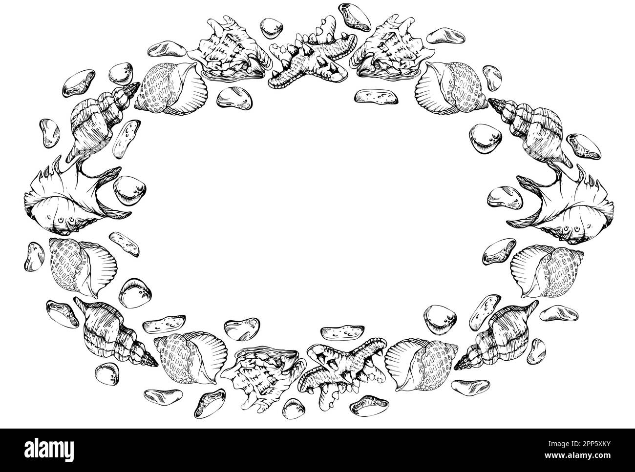 Hand drawn vector ink exotic sea shells and colorful glass, starfish ...