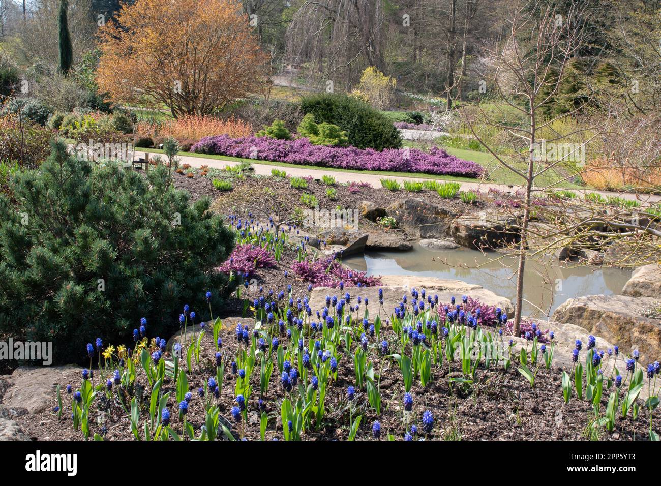 Replanting shrub hi-res stock photography and images - Alamy