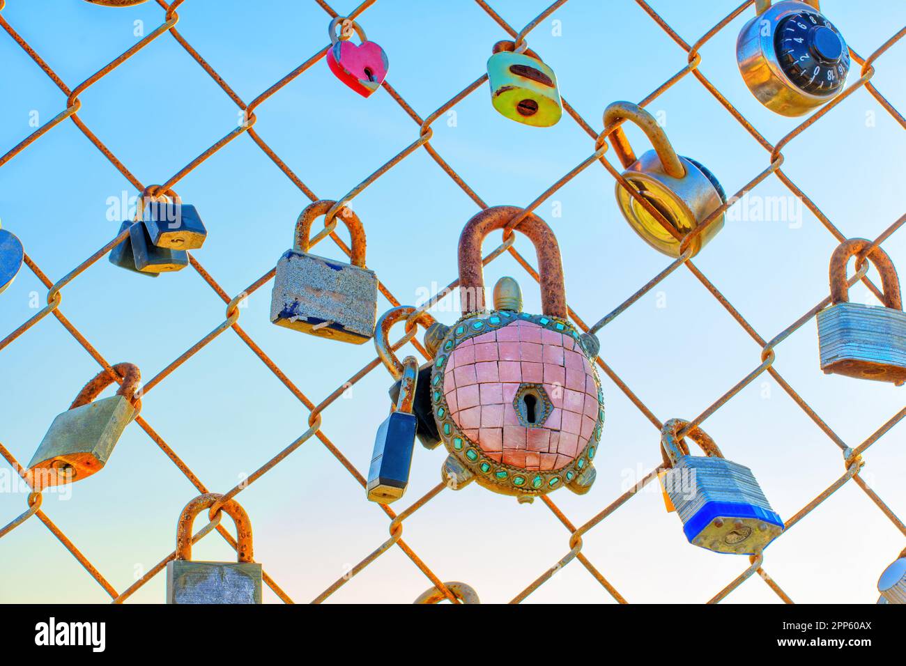 Close-up view of several padlocks hanging on a chain link fence against ...