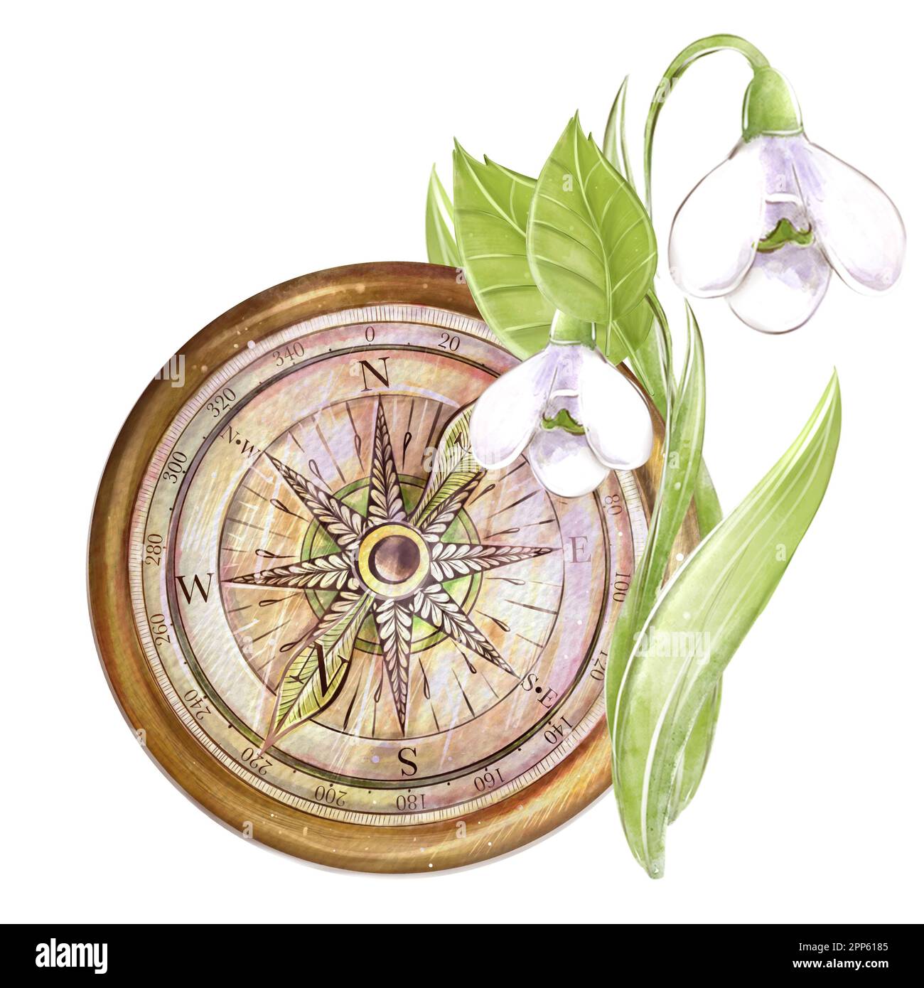 Compass watercolor composition isolate on white background for design ...
