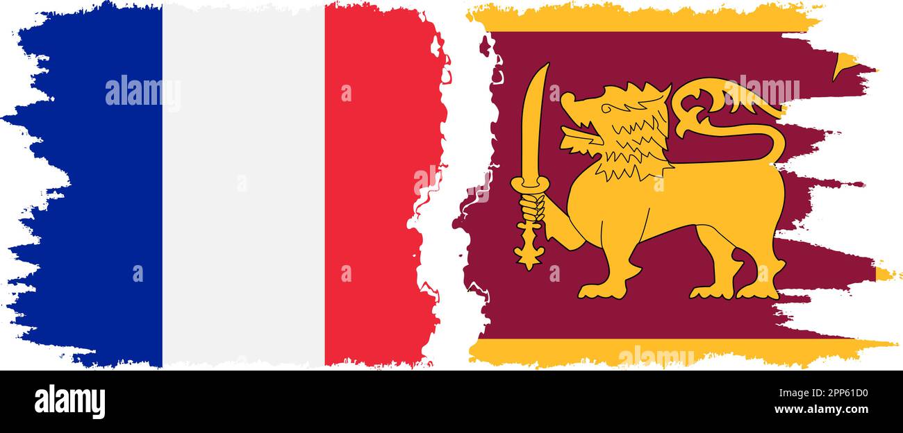 Sri Lanka and France grunge flags connection, vector Stock Vector Image ...