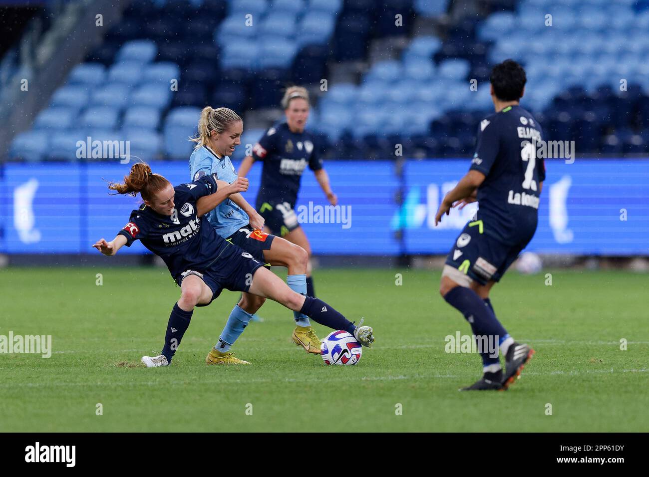 Beattie goad hi-res stock photography and images - Alamy