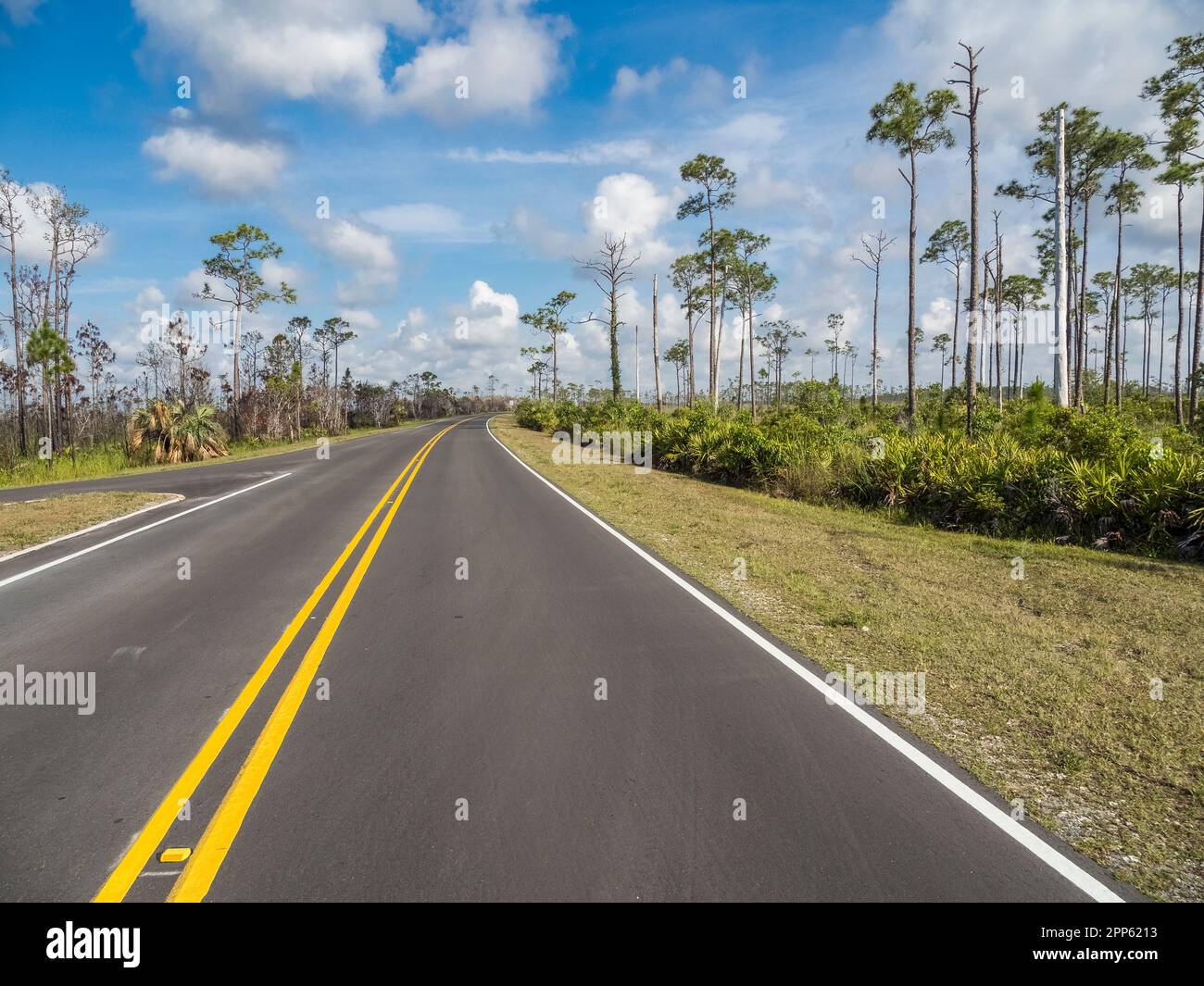Main Park Road in Everglades national Park in south Florida USA Stock ...