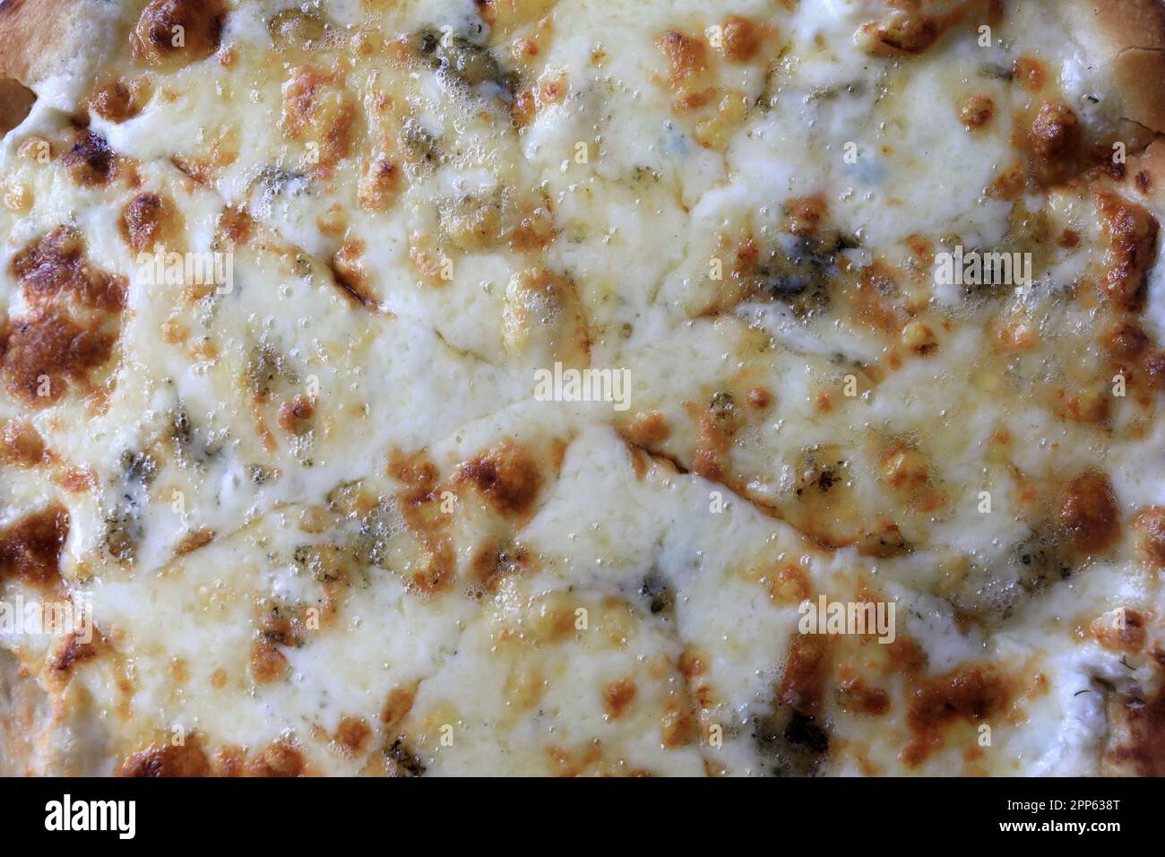 Four cheese pizza baked in hi-res stock photography and images - Alamy