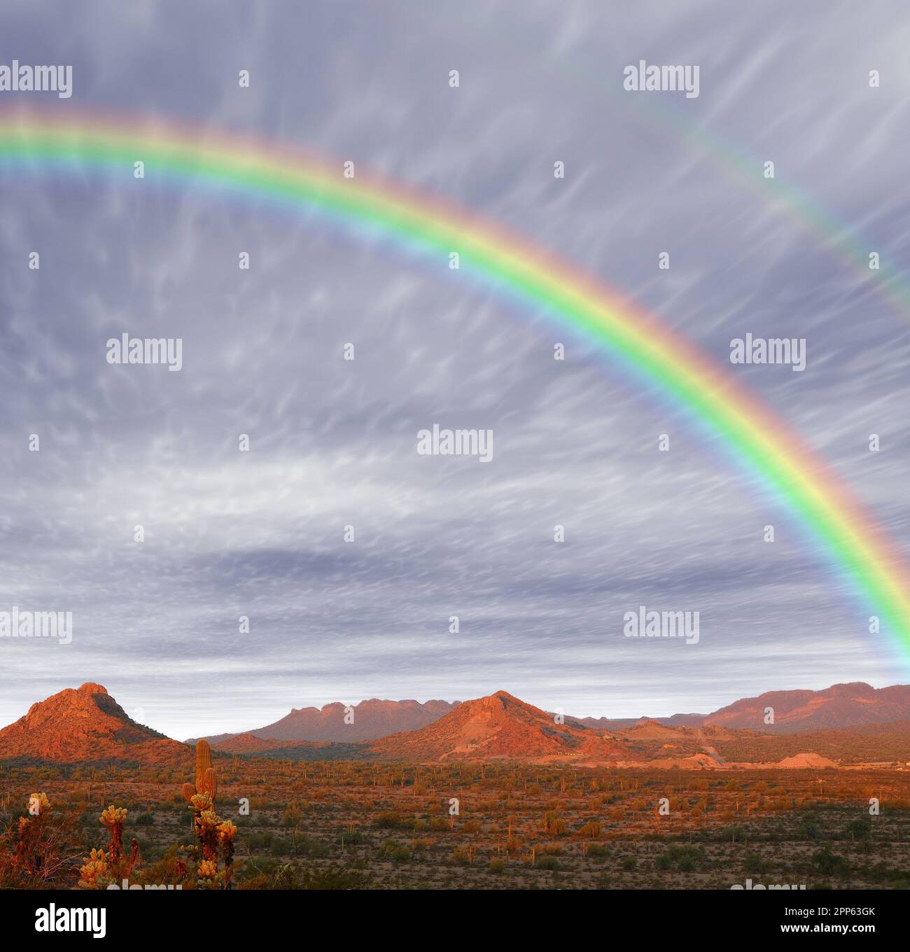 Saguaro cactus rainbow arizona hi-res stock photography and images - Alamy
