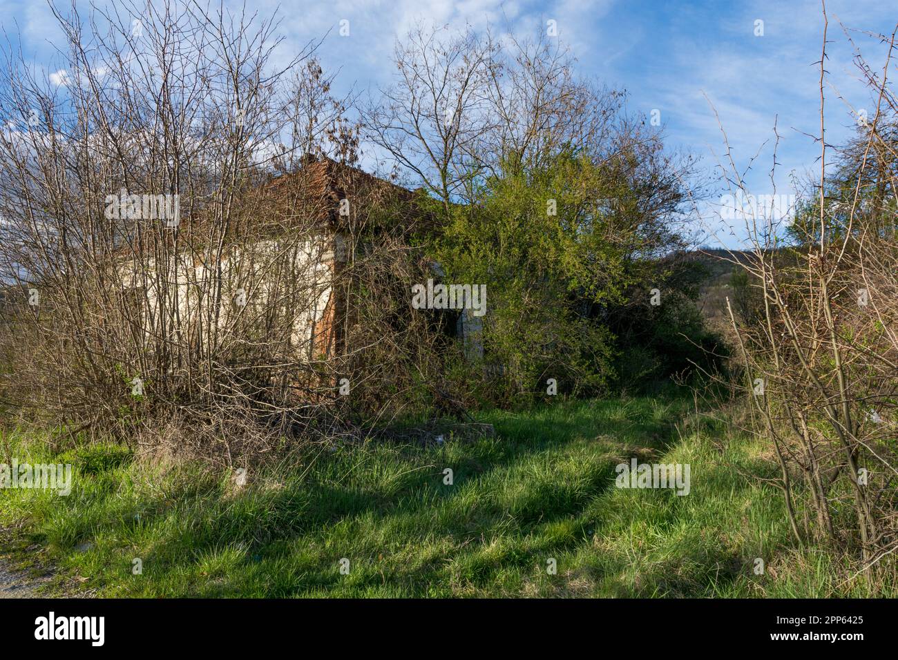 A very old abandoned building overgrown with weeds and bushes, barely ...