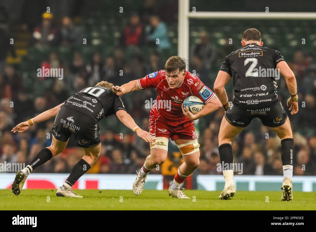 Shenton thomas hi-res stock photography and images - Alamy