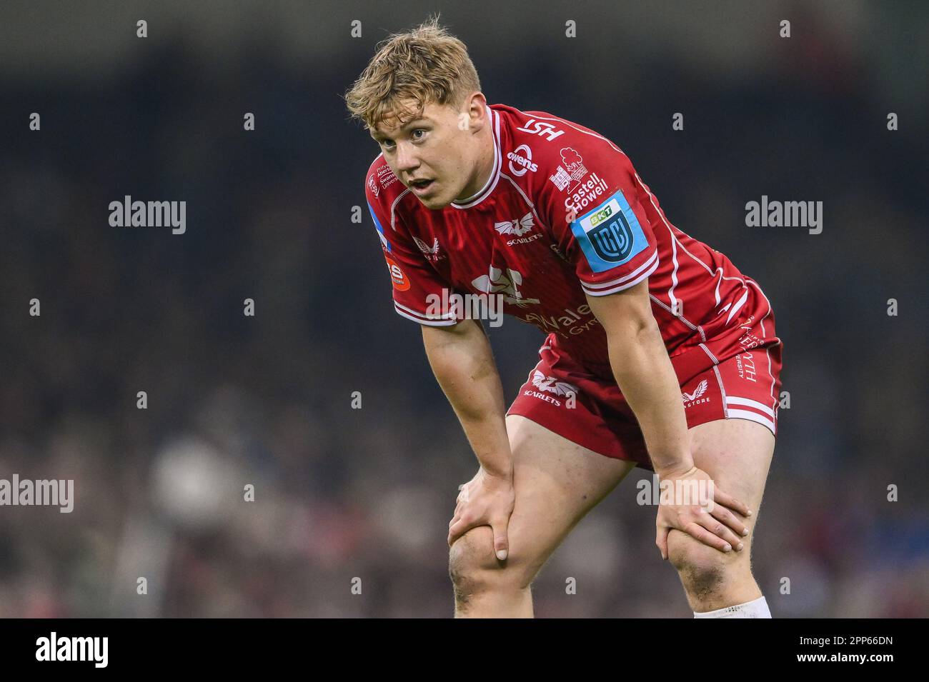 Sam costelow scarlets hi-res stock photography and images - Alamy