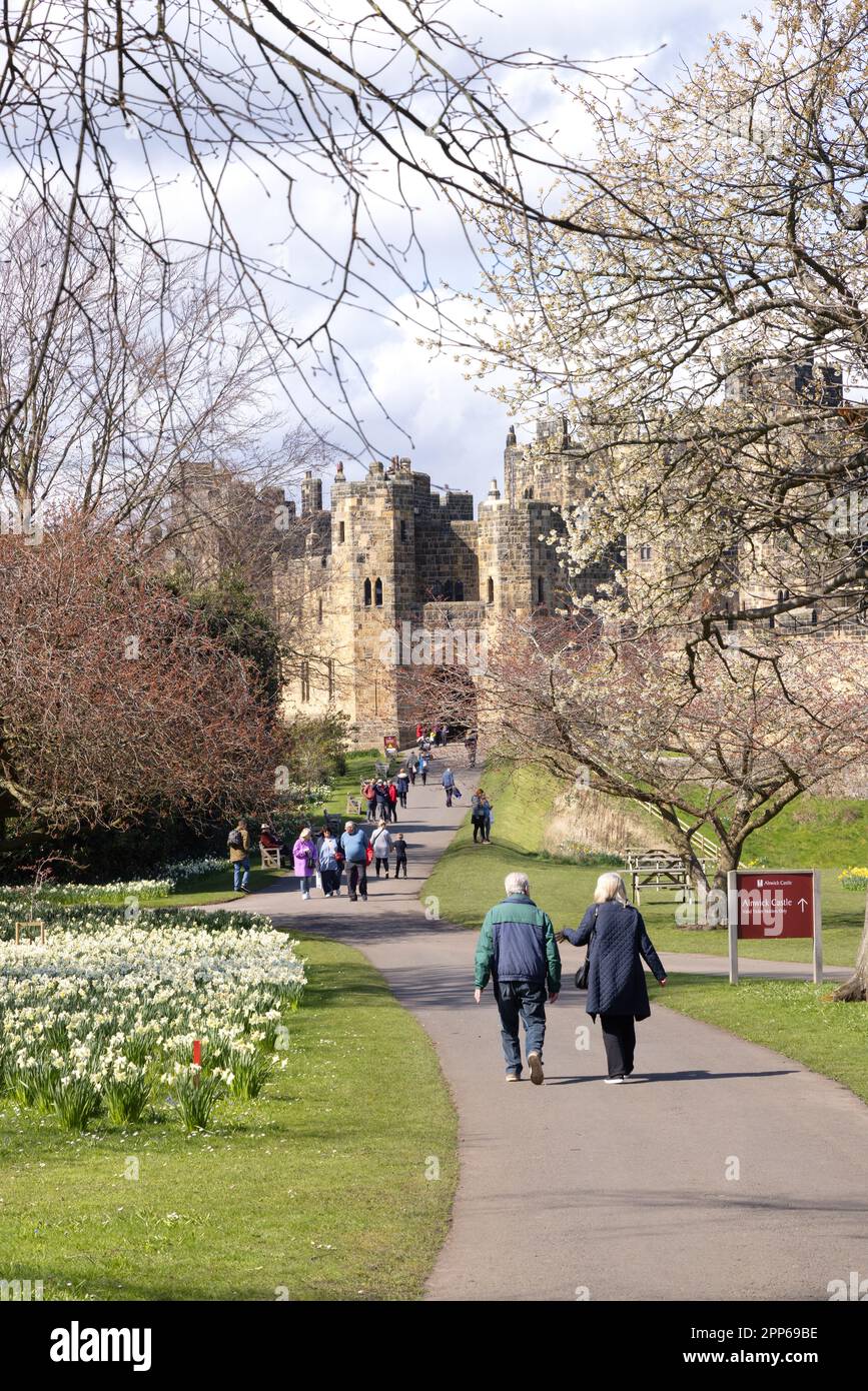 Alnwick Castle Northumberland; A large medieval 12th century castle ...