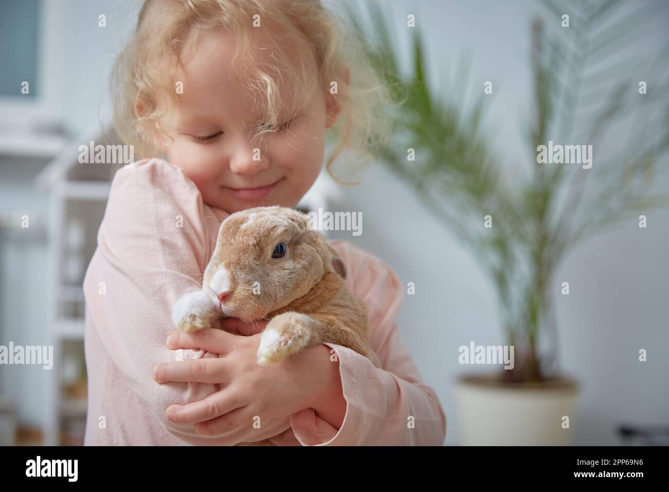 Cute girl todler hugging a curly rabbit at home. girl with rabbit, pet ...