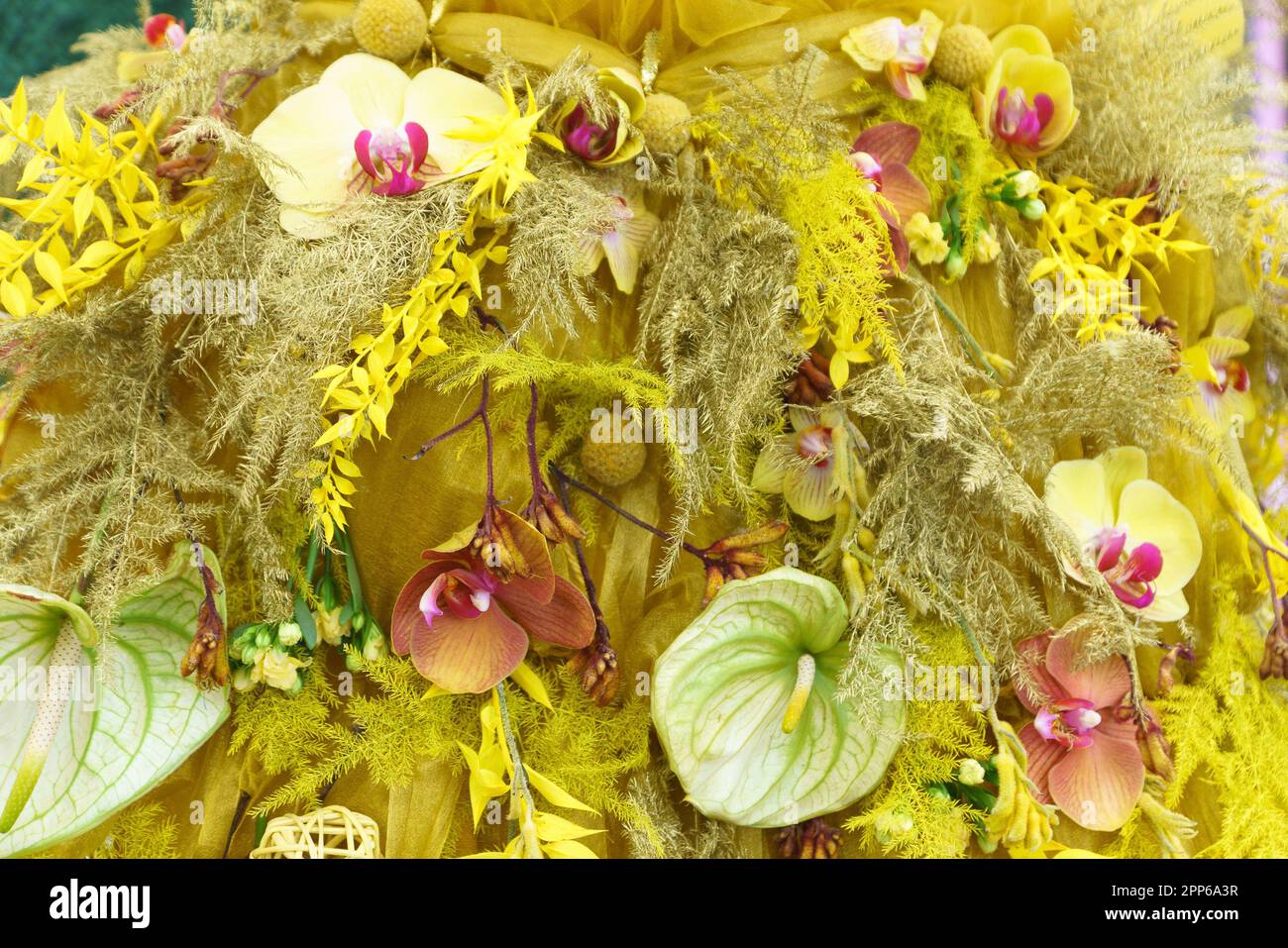 April 22nd Harrogate Flower Show, Harrogate, Nth Yorkshire. Harrogate ...