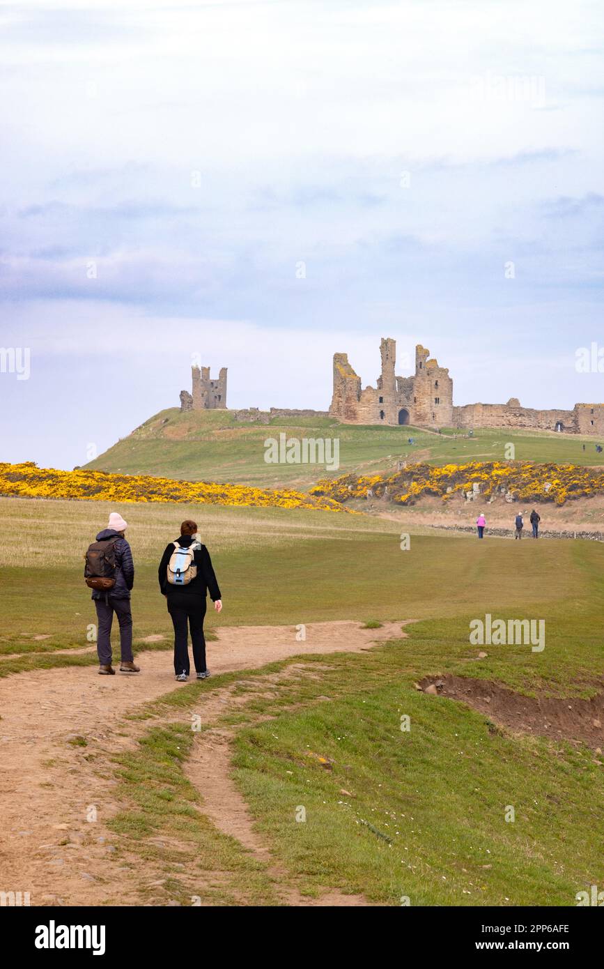 Northumberland tourists - a couple walking at Dunstanburgh Castle, a ...