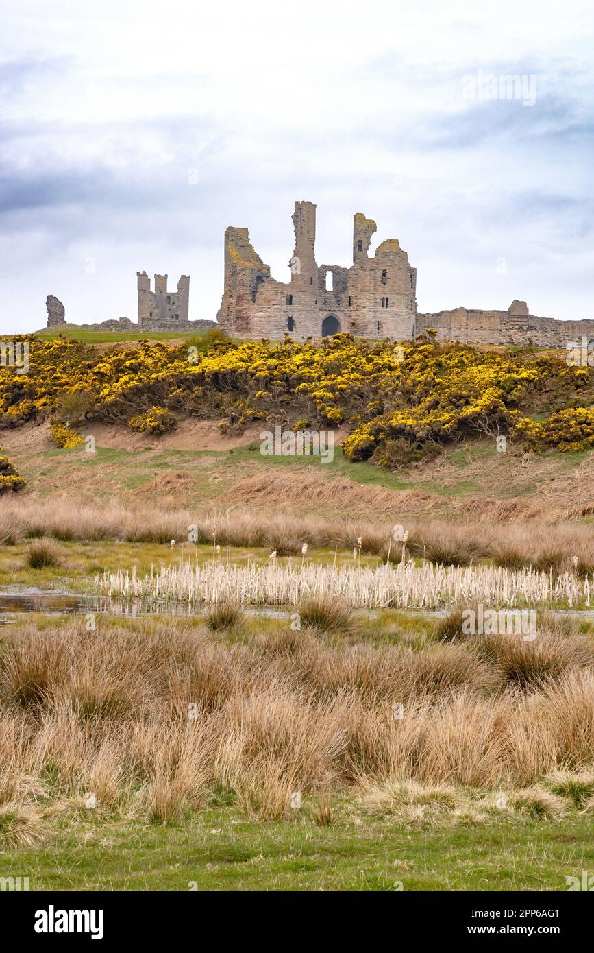 Dunstanburgh Castle; 14th century medieval ruined castle on the ...