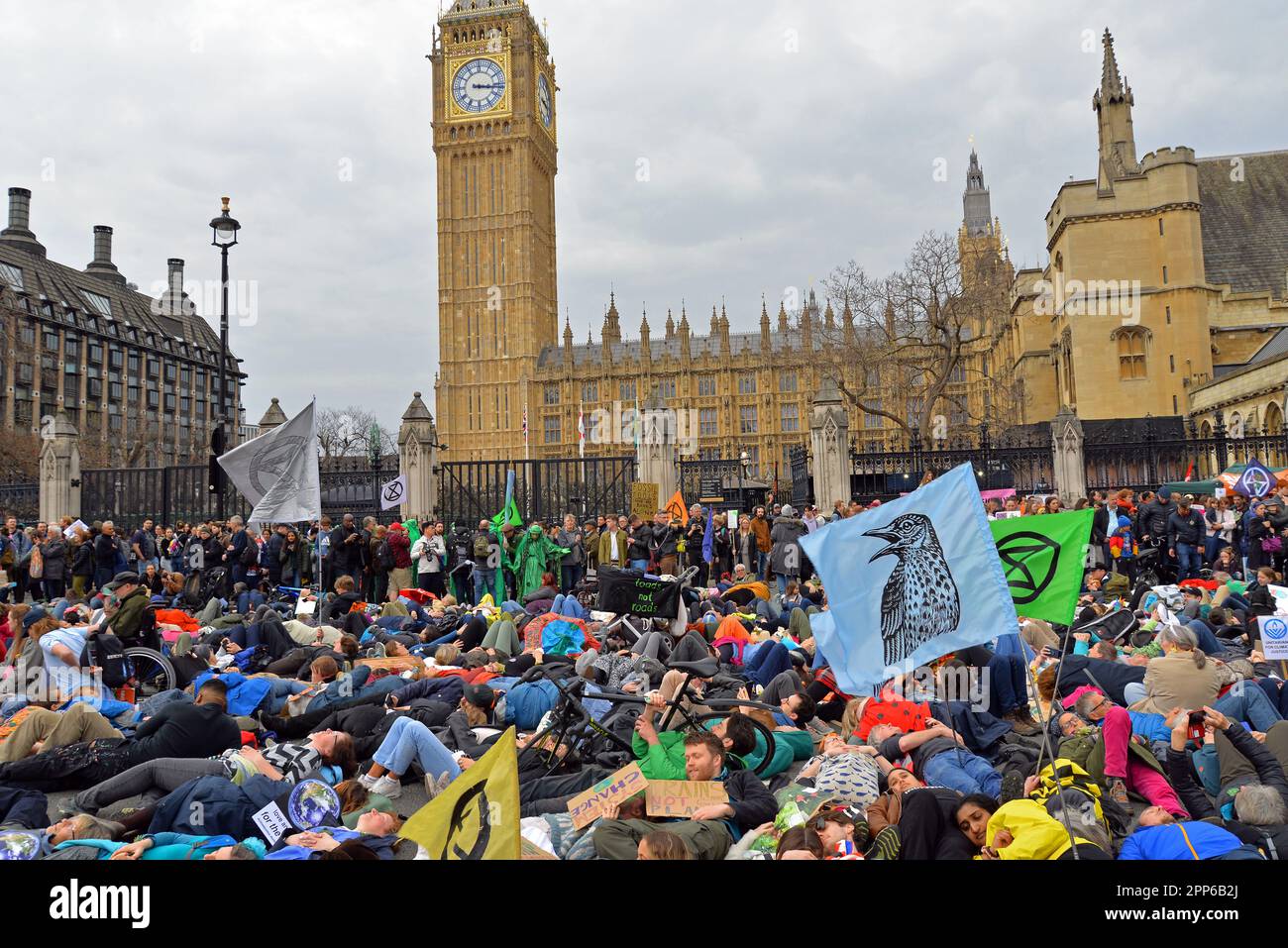 Extinction Rebellion hold a mass 'Die-in' opposite the Houses of ...