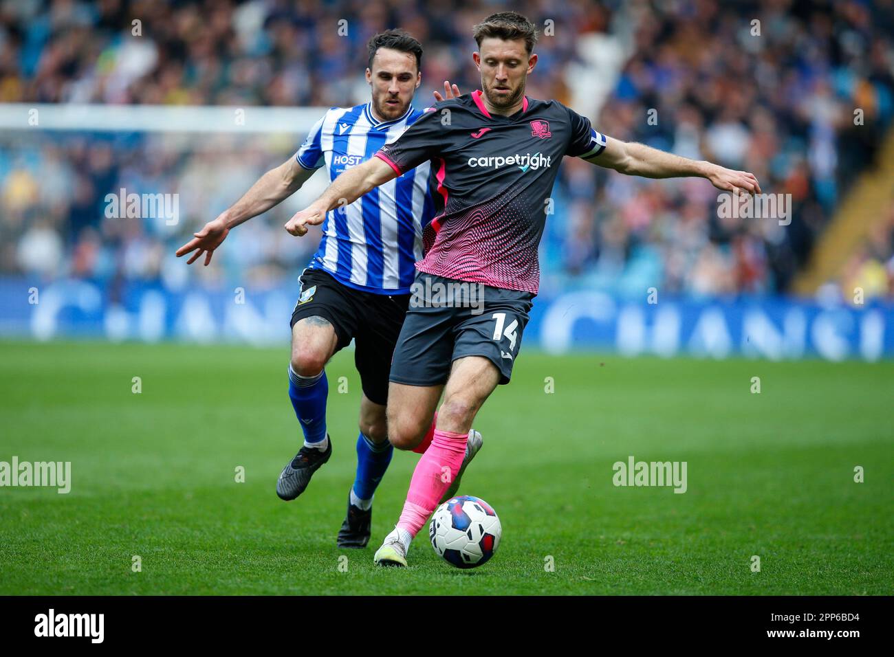 Will gregory images hi-res stock photography and images - Alamy