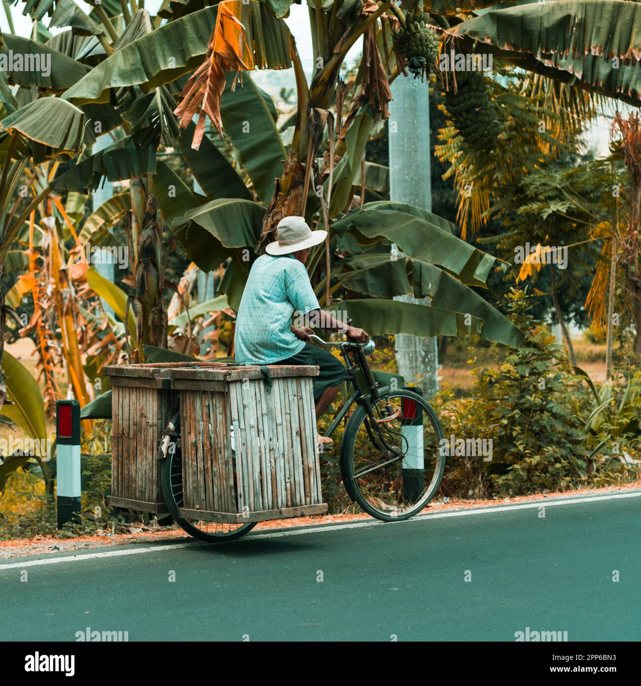 An elderly man riding a bicycle with a cargo basket mounted on the back ...