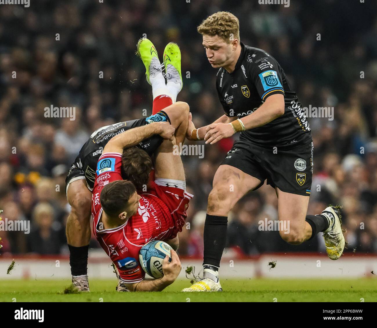 Steff hughes dragons hi-res stock photography and images - Alamy