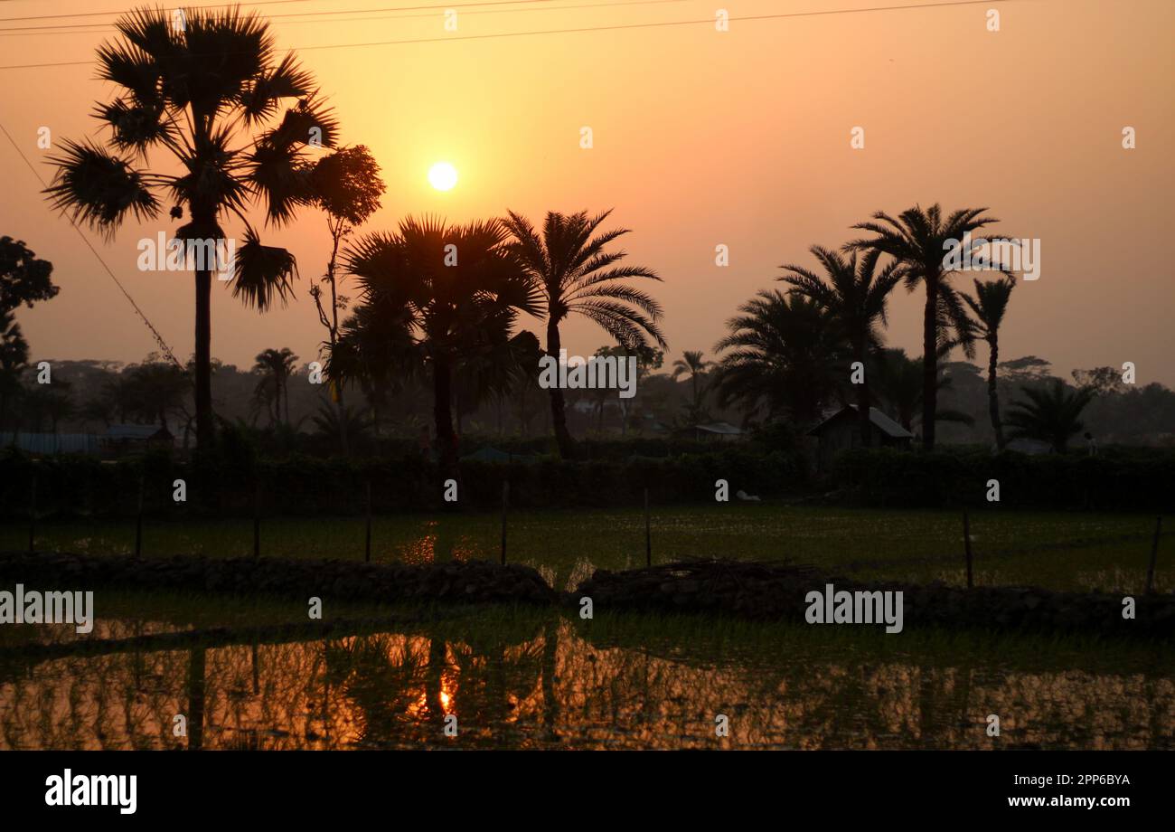 Sunset Landscape in Bangladeshi Village Stock Photo - Alamy