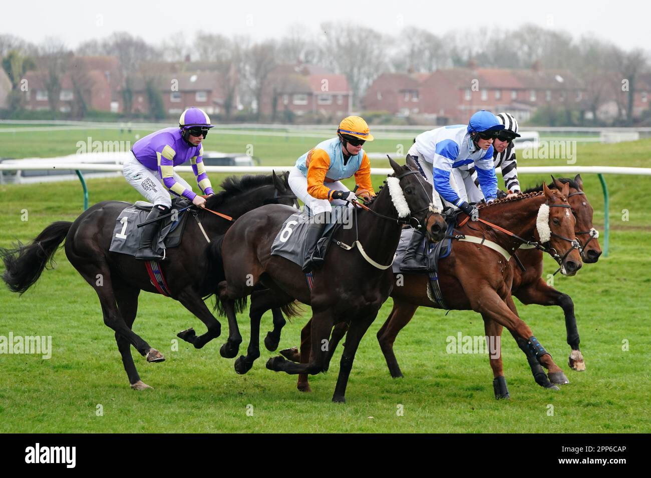 Ayr racecourse 2023 hi-res stock photography and images - Alamy