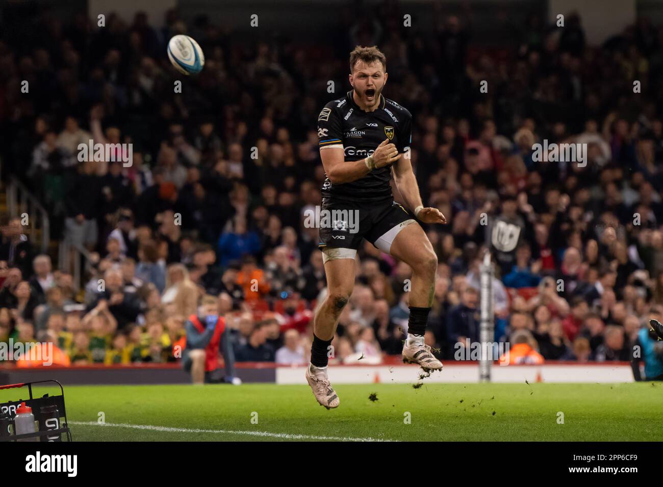 Steff hughes dragons hi-res stock photography and images - Alamy