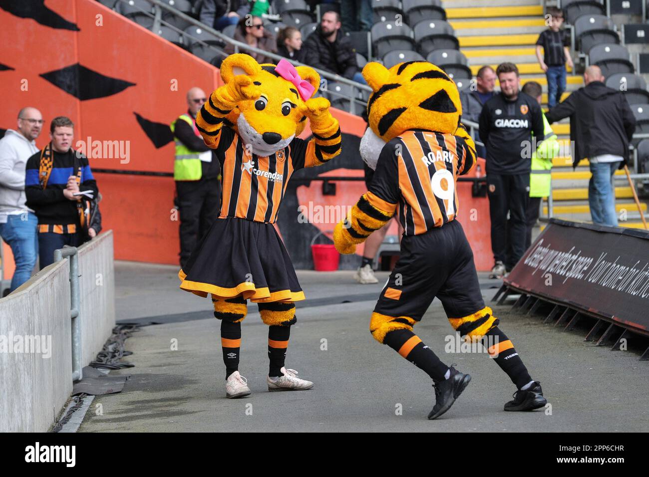 The Hull City mascots celebrate during the Sky Bet Championship match ...