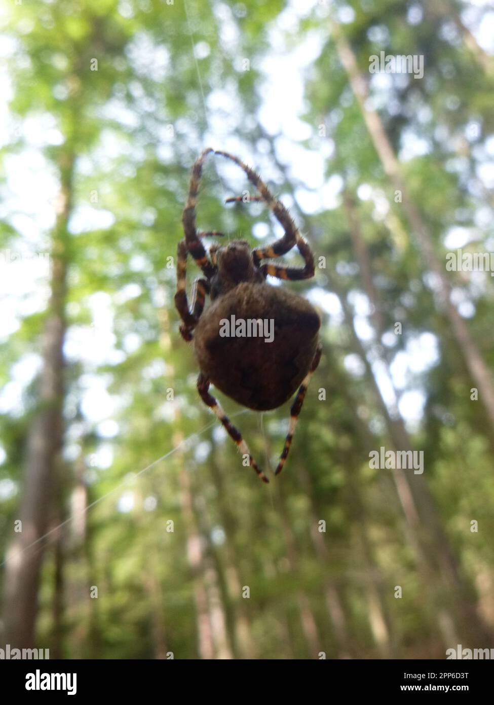 Phobia eight hi-res stock photography and images - Alamy