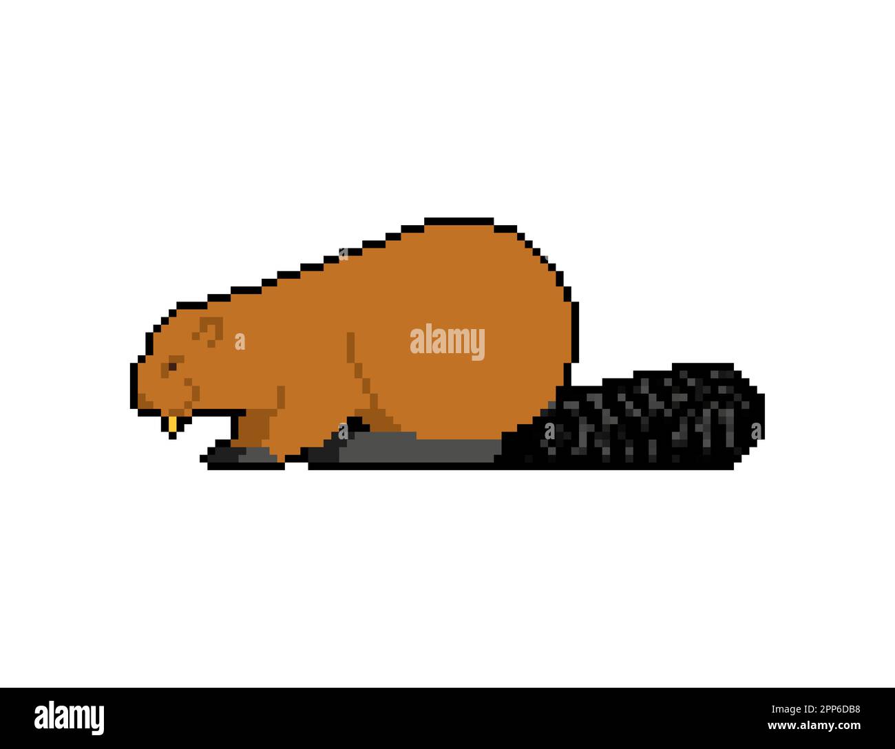 Beaver pixel art. 8 bit swamp rodent. pixelated Vector illustration ...