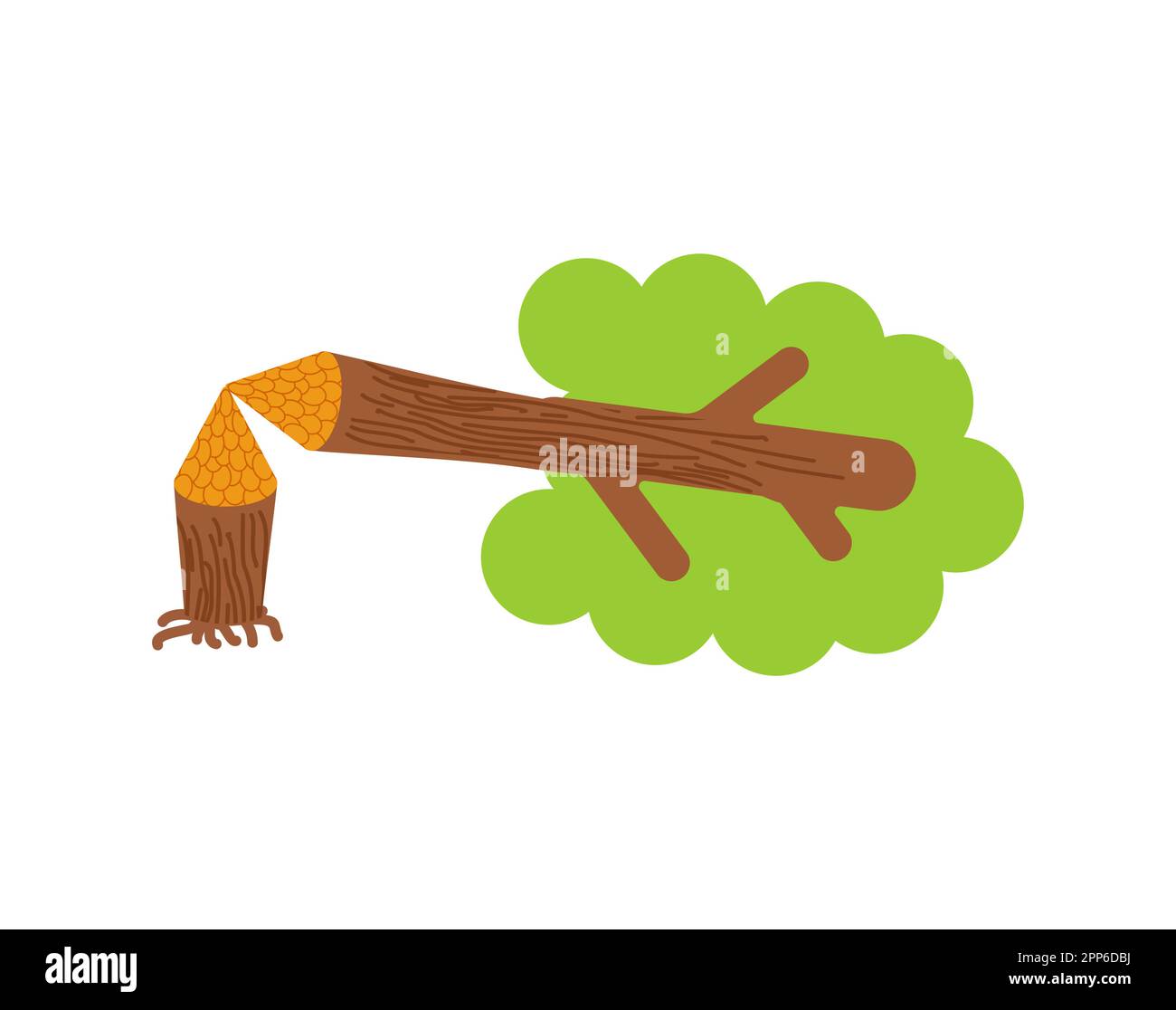 Tree gnawed by beaver. forest log. Vector illustration Stock Vector ...