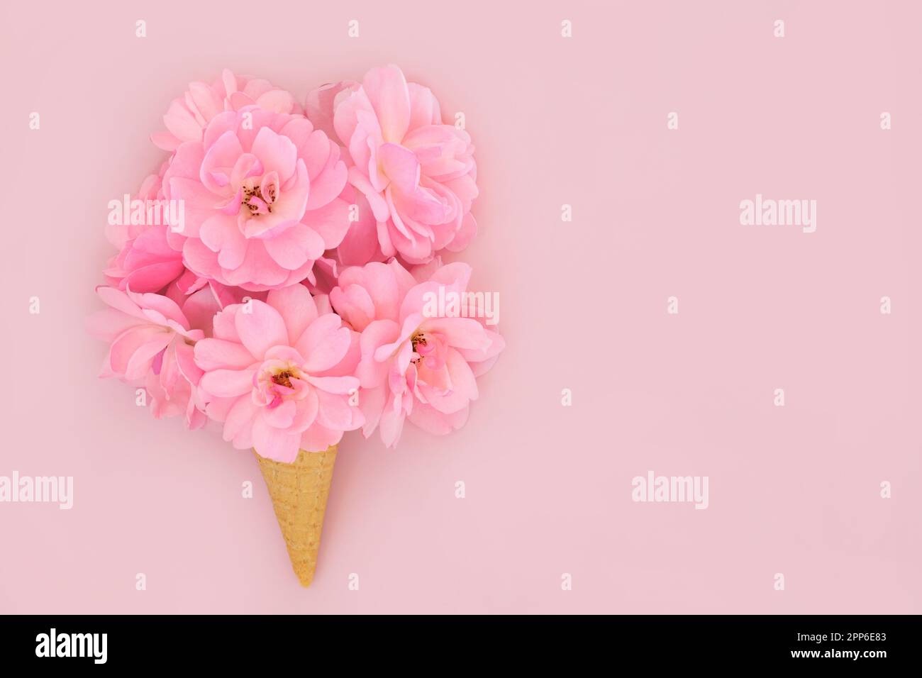 Rose flower surreal ice cream waffle cone design on pink background ...