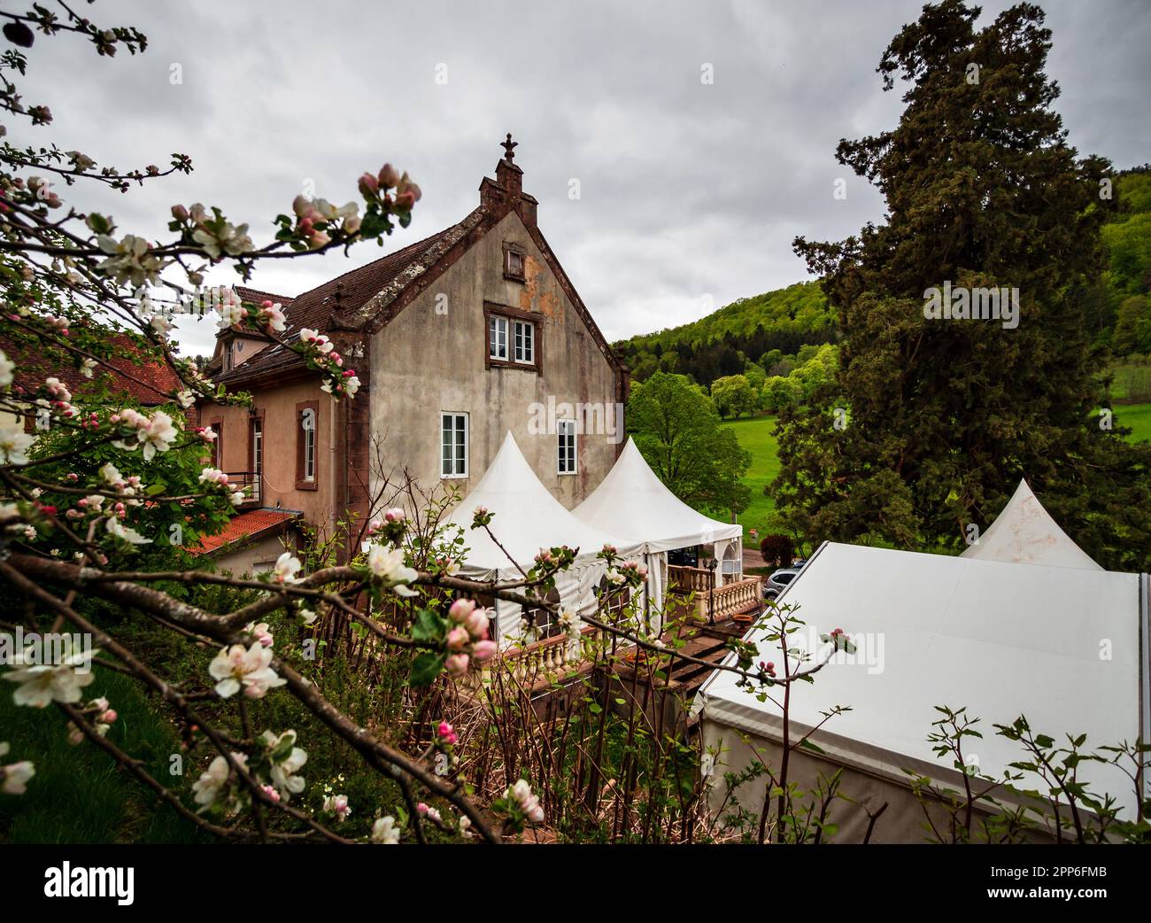 Ancient castle, aerial view. Beautiful architecture of the past ...