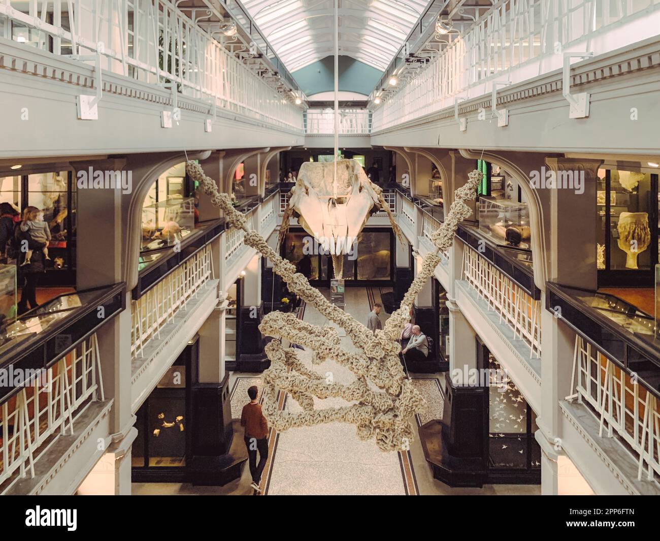 The University of Manchester Museum, Oxford Rd, Manchester M13 9PL ...