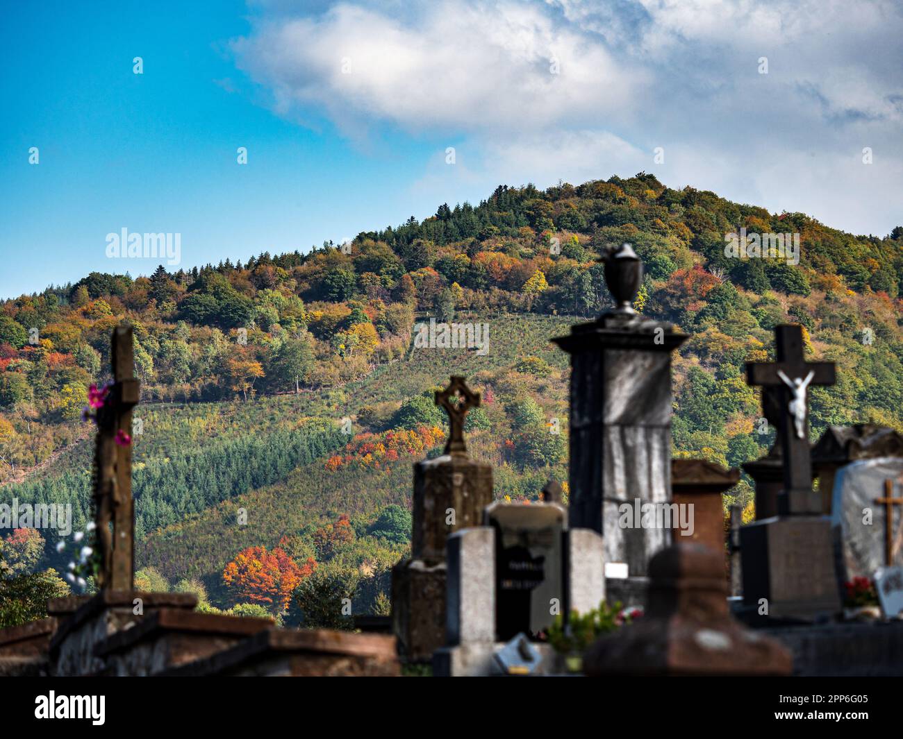 Plant a tree in memory hi-res stock photography and images - Alamy