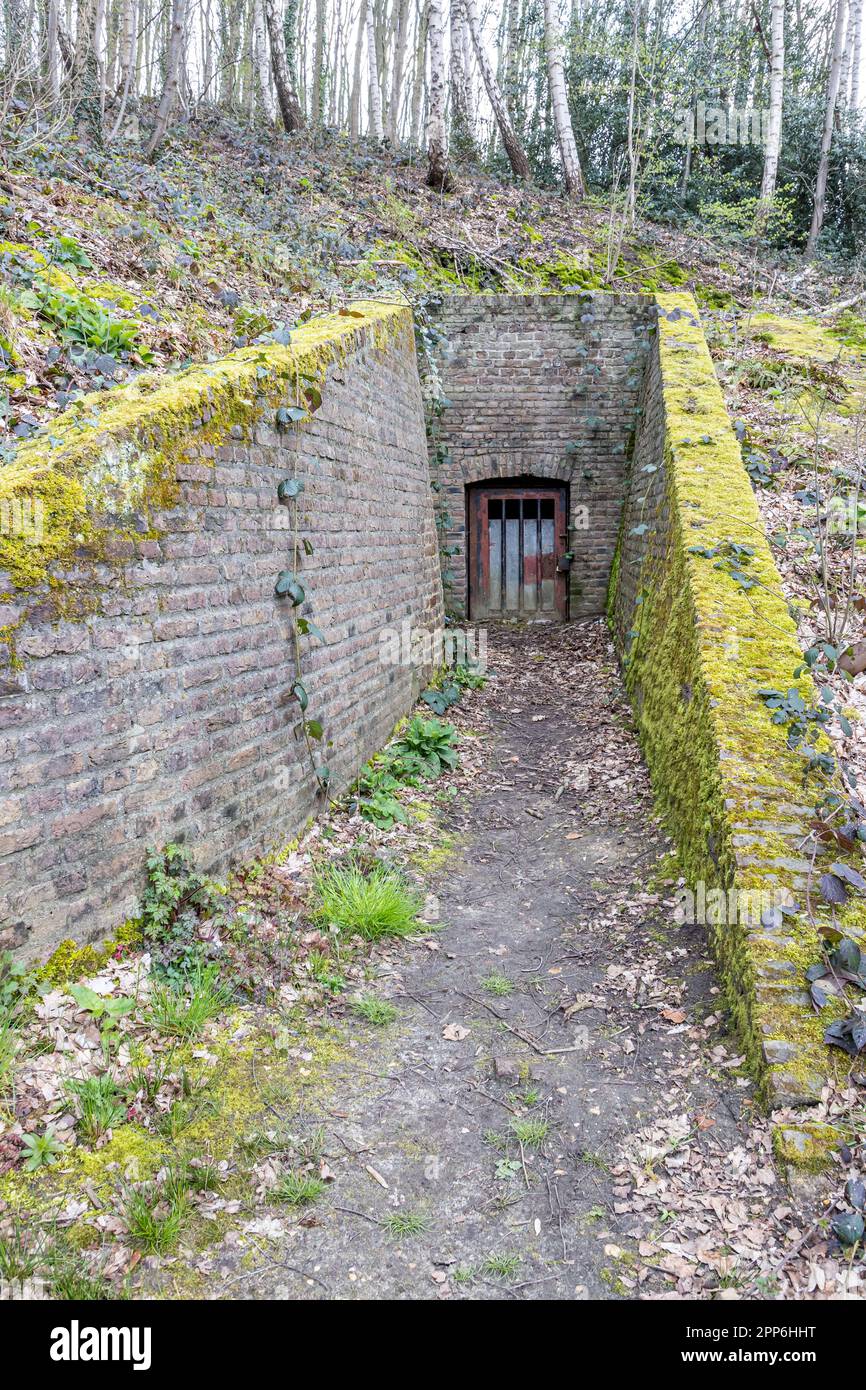 Entrance between walls with moss to an old and abandoned underground ...