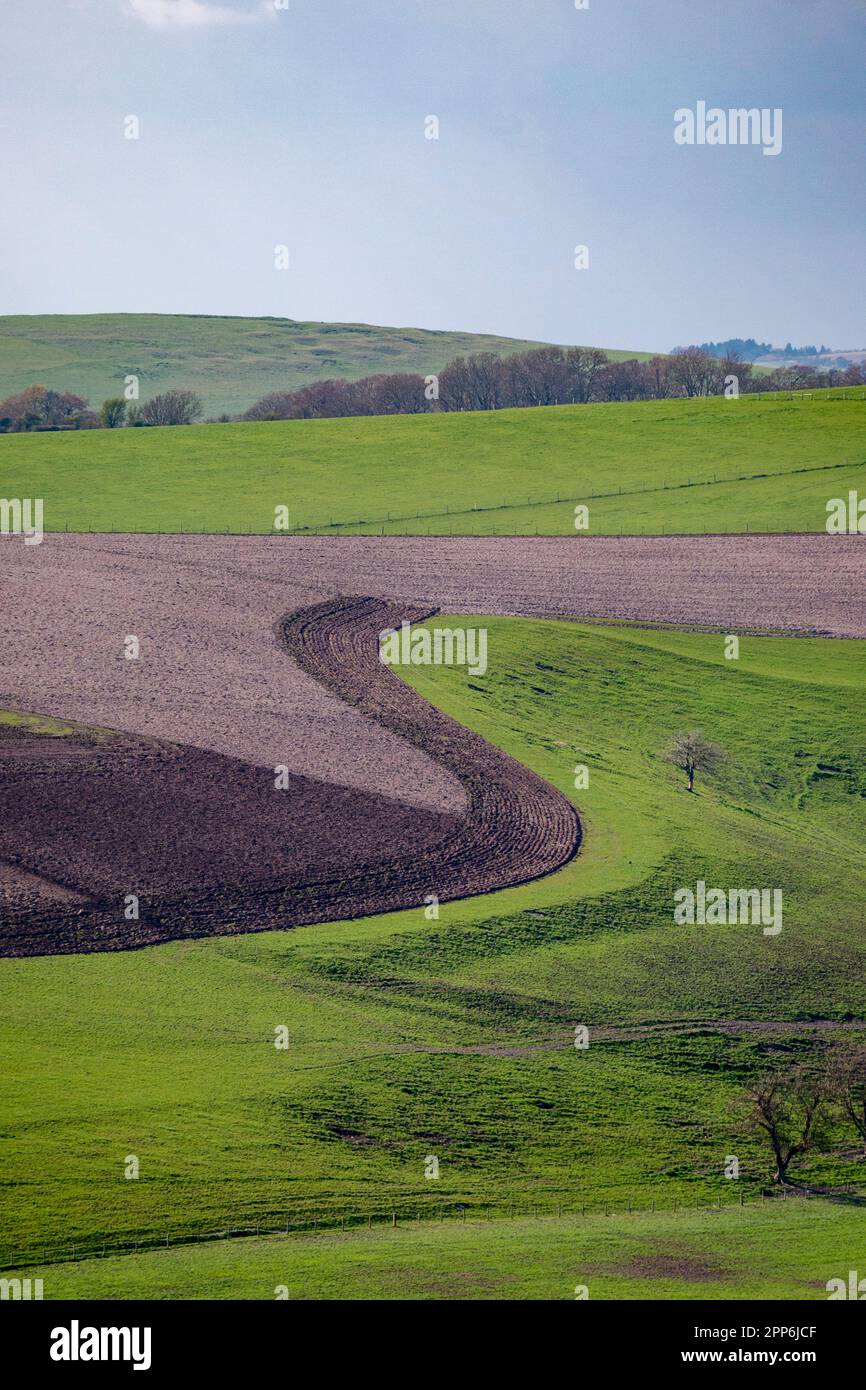 Early Spring farmland scene in the South Downs National Park, West ...