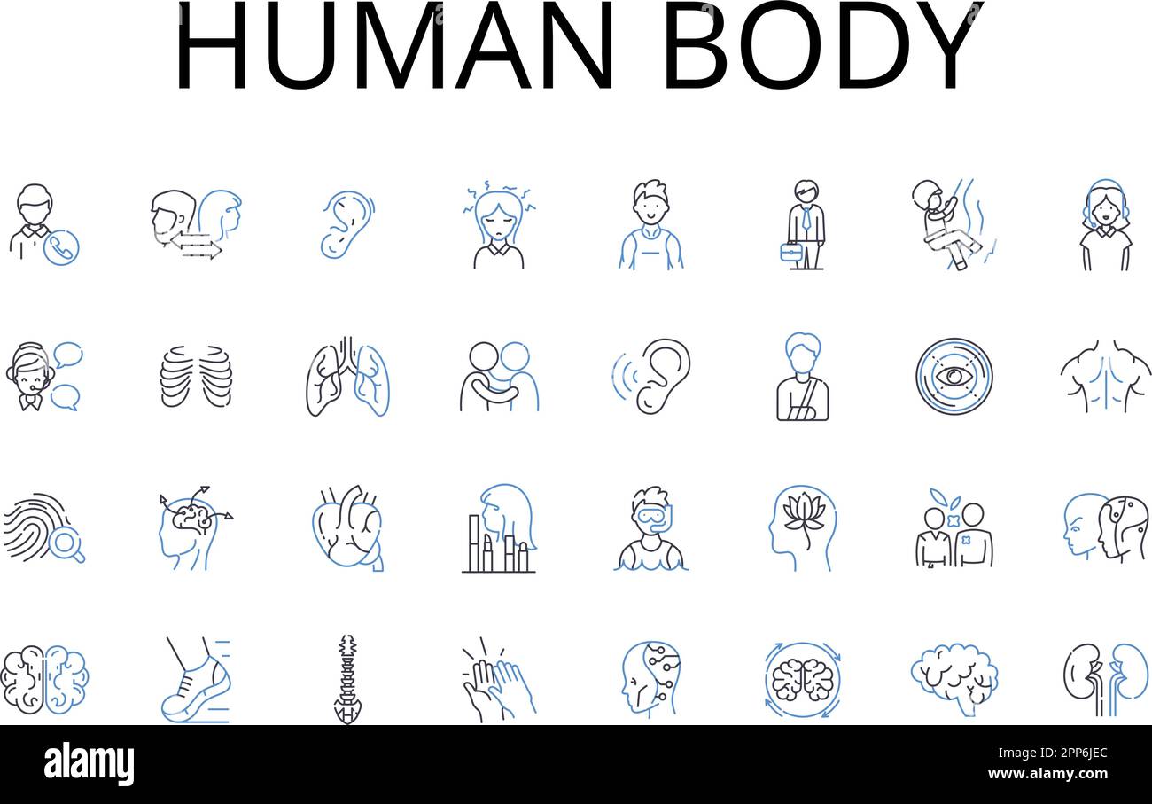 Human body line icons collection. Mental health, Fashion style ...