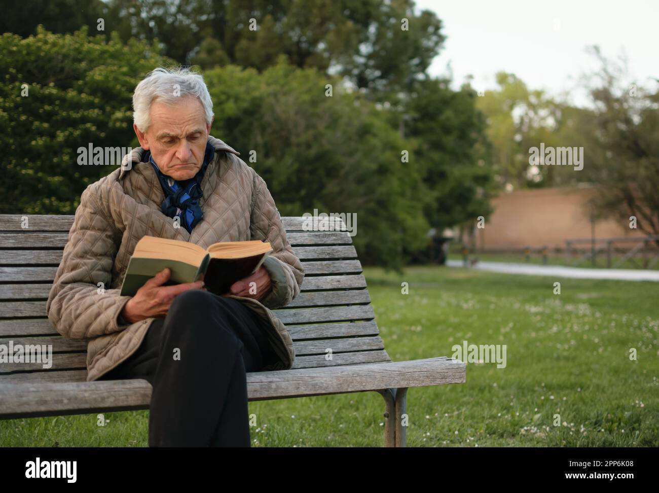 Old man with gray hair reading a book sited on an bench Stock Photo - Alamy