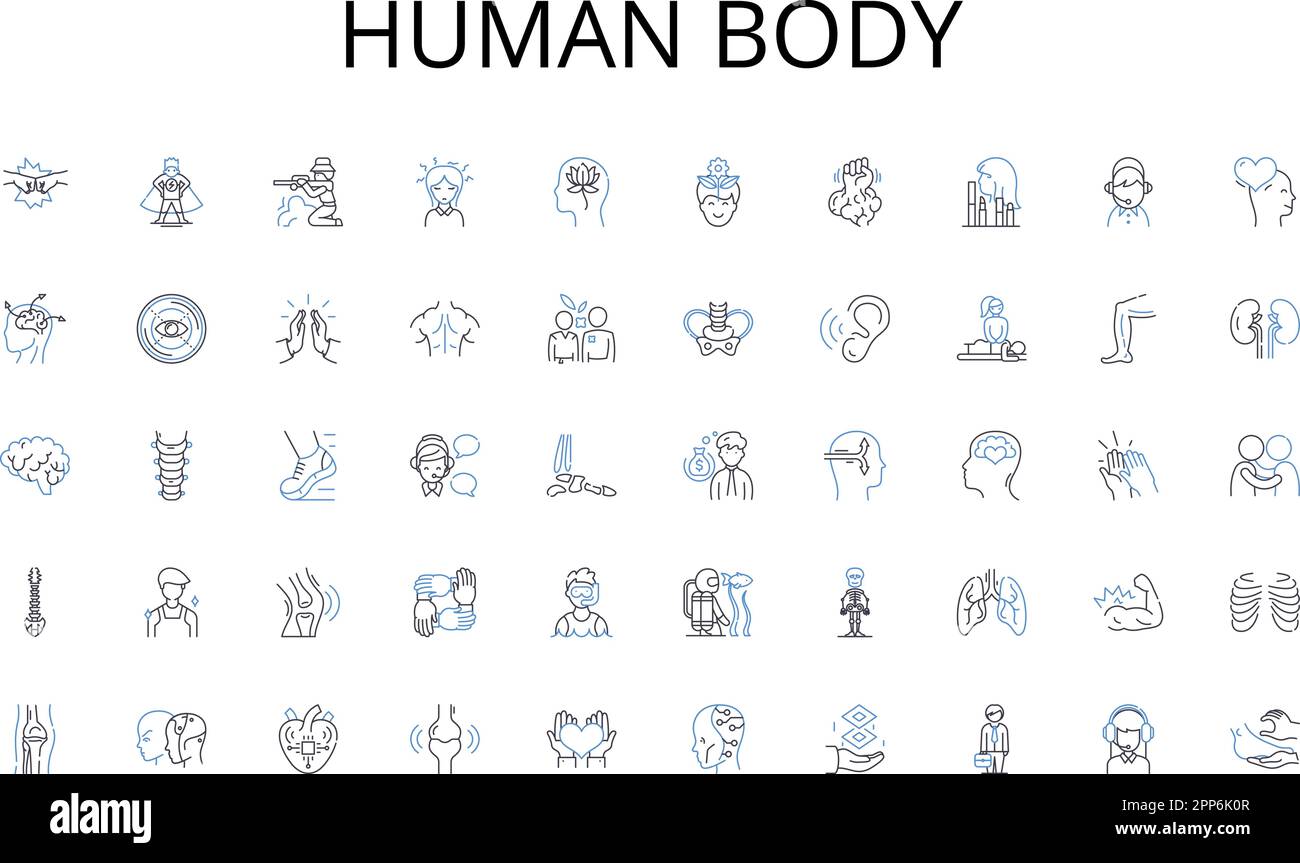 Human body line icons collection. Nerking, Resume, Interview, LinkedIn ...