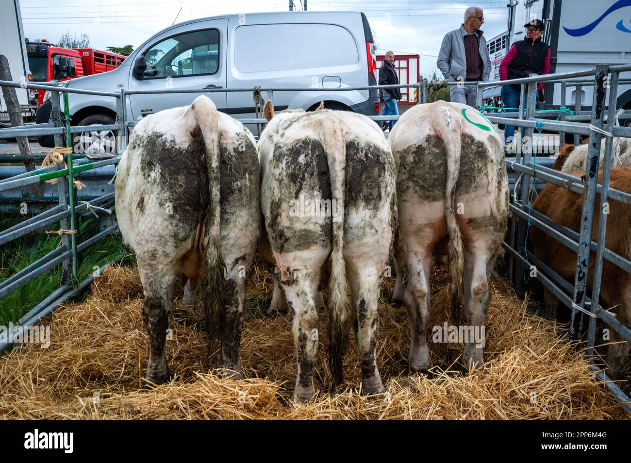 Beaucroissant fair hi-res stock photography and images - Alamy