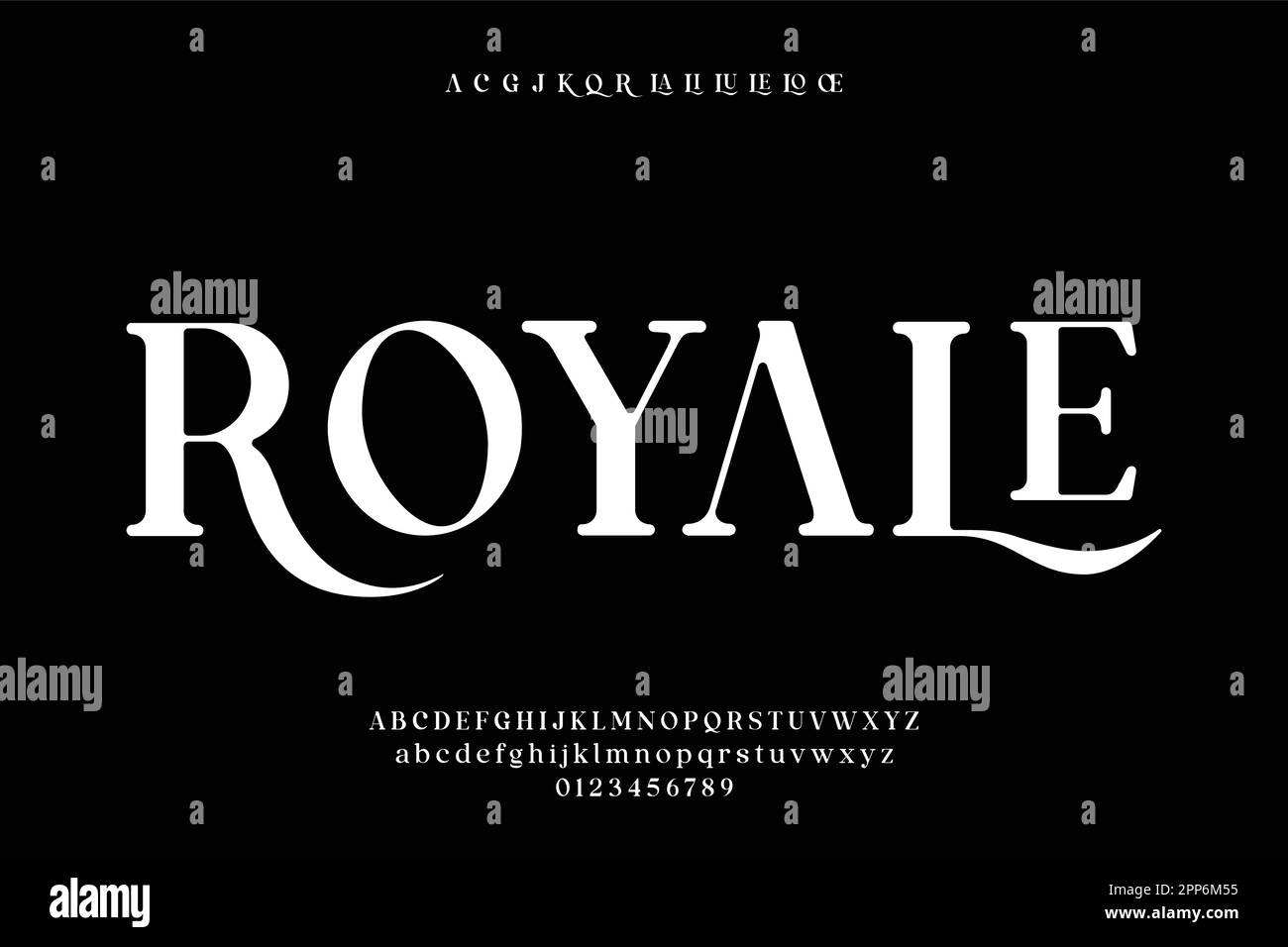 luxury rounded serif font vector with alternate and ligature Stock ...