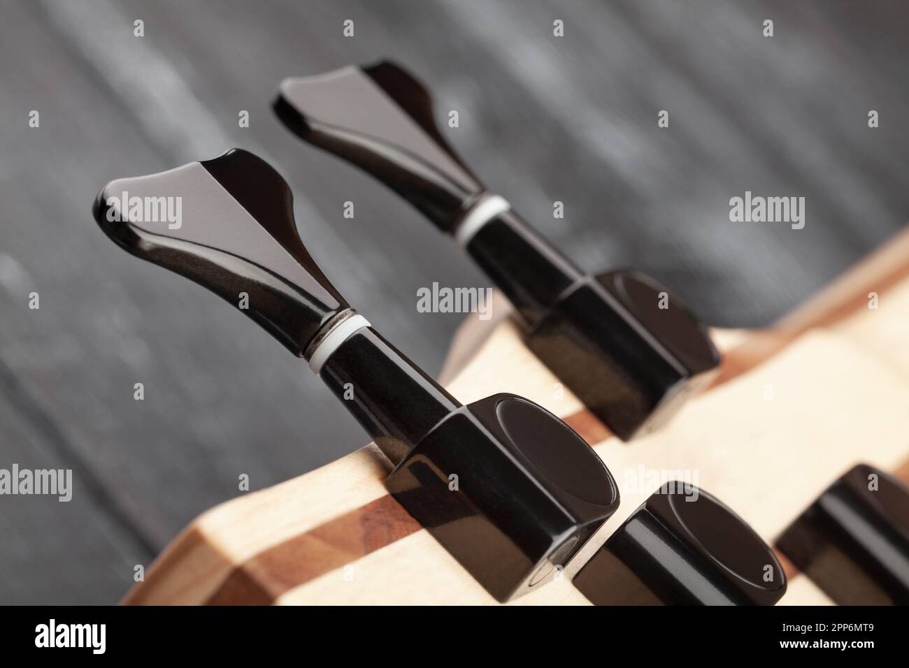 Bass Guitar Tuning Machines at Cody Phipps blog