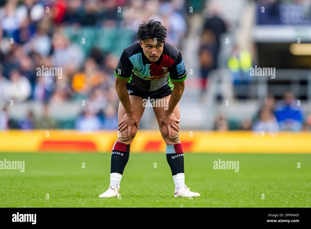 LONDON, UNITED KINGDOM. 22th, Apr 2023. Marcus Smith of Harlequins ...