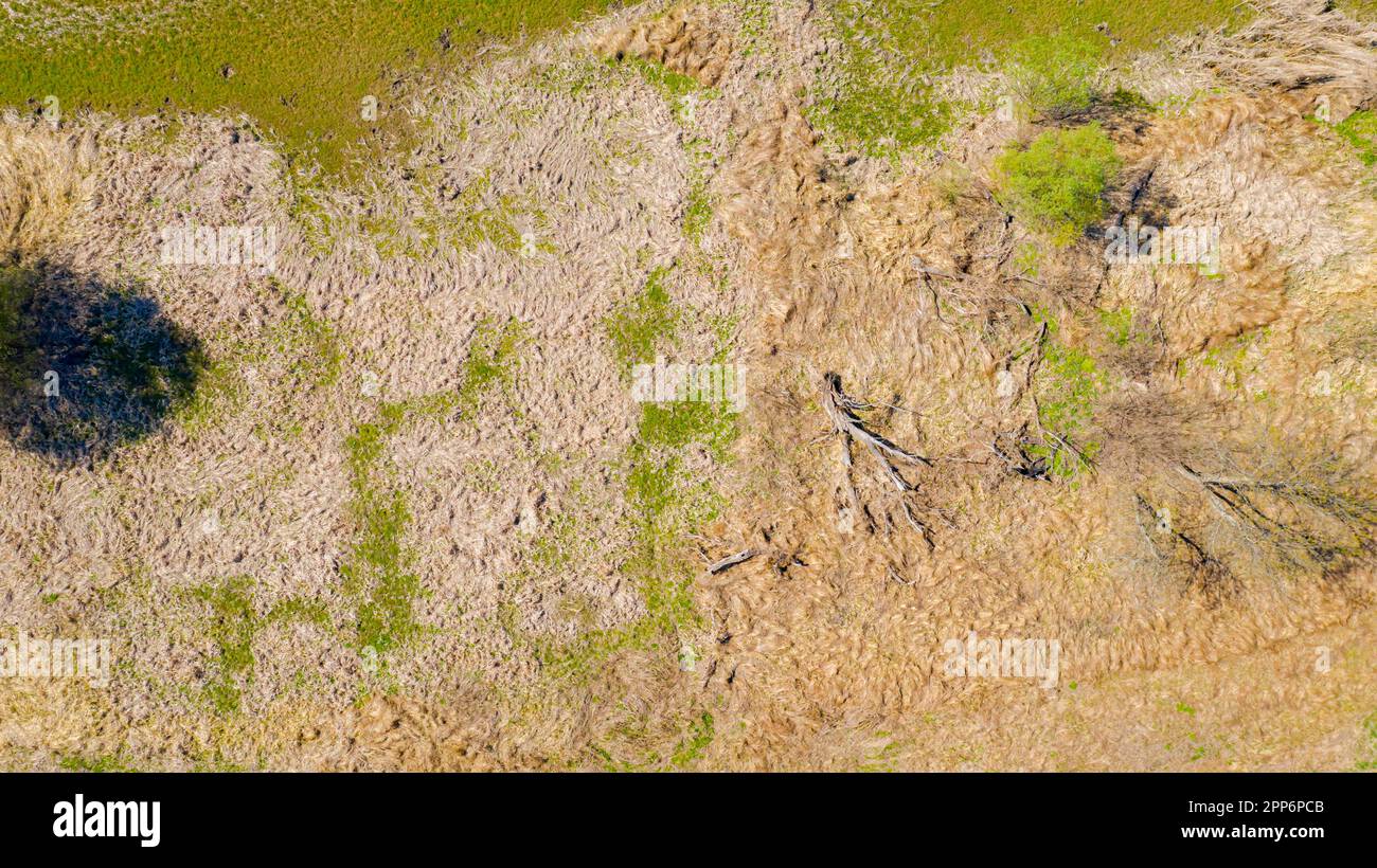 Above top view, dry dead vegetation in dried up swamp next with old ...