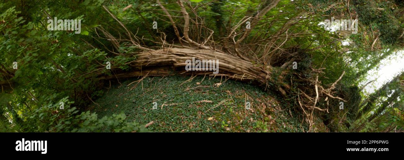 Pinhole collection hi-res stock photography and images - Alamy