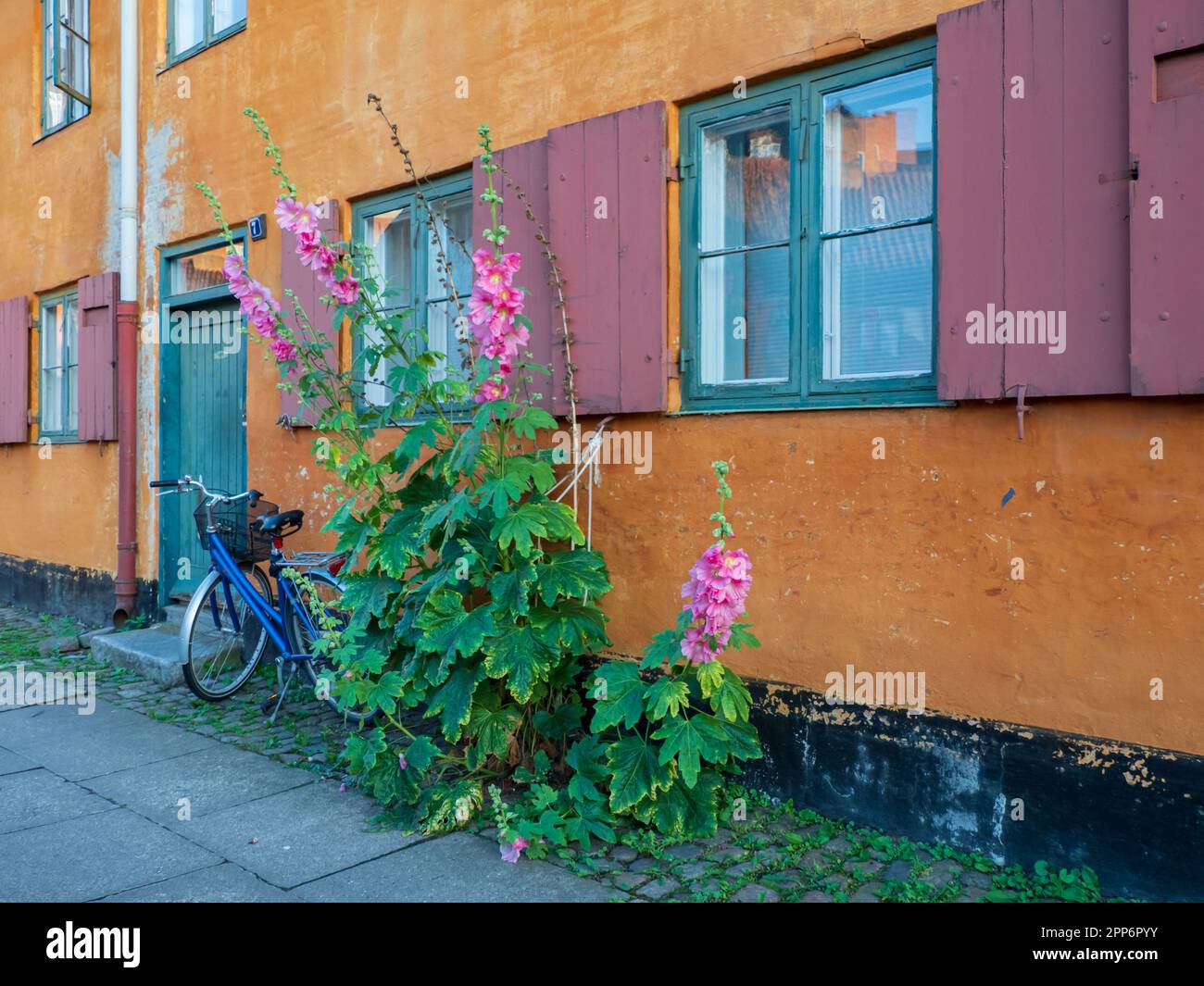 Copenhagen, Denmark - July, 2021: Nyboder is a historic row house ...