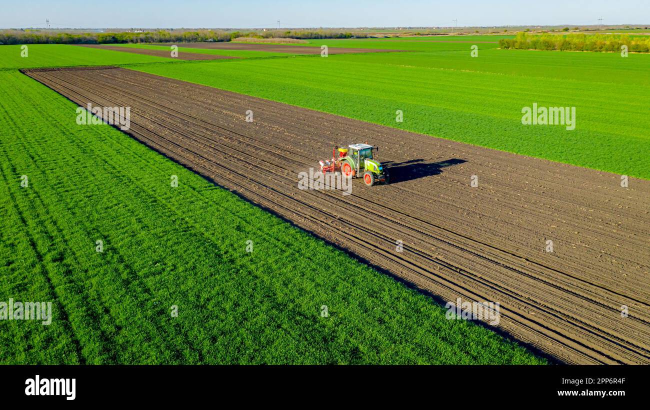 Above view, of tractor as pulling mechanical seeder machine over arable ...