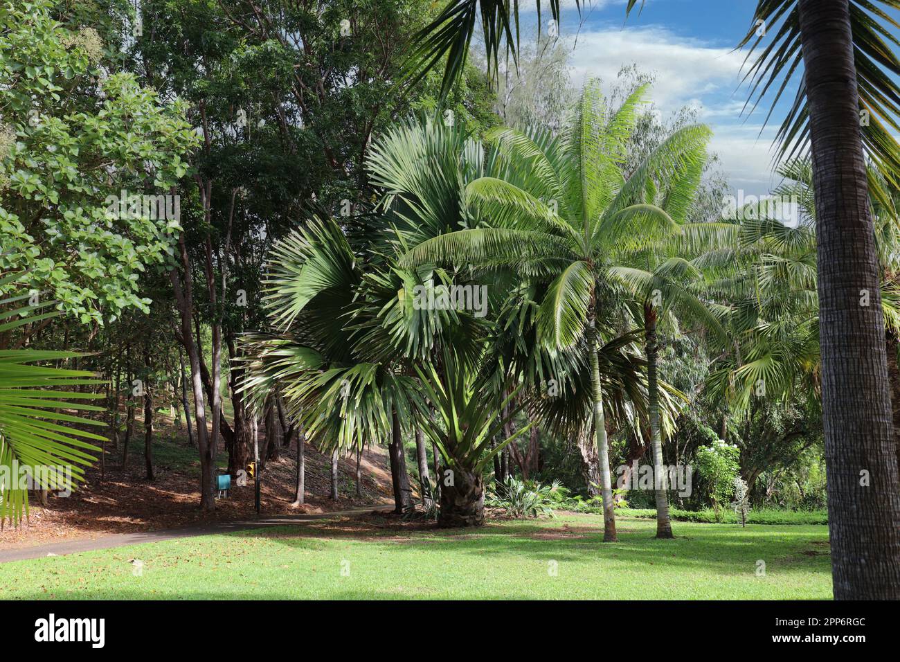 A variety of trees, a grassy area and the only stoplight on the north ...