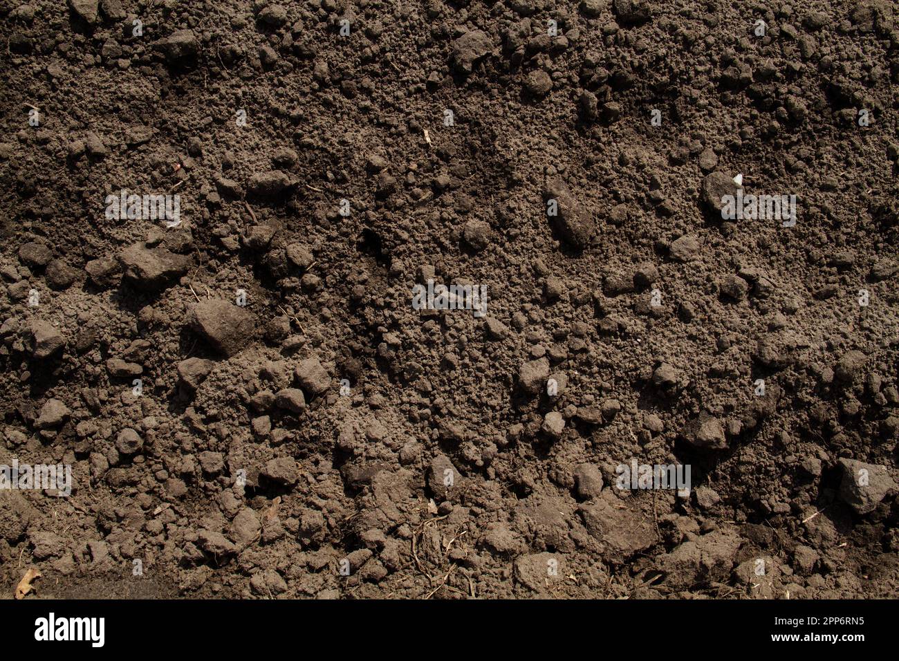 Fertile background hi-res stock photography and images - Alamy