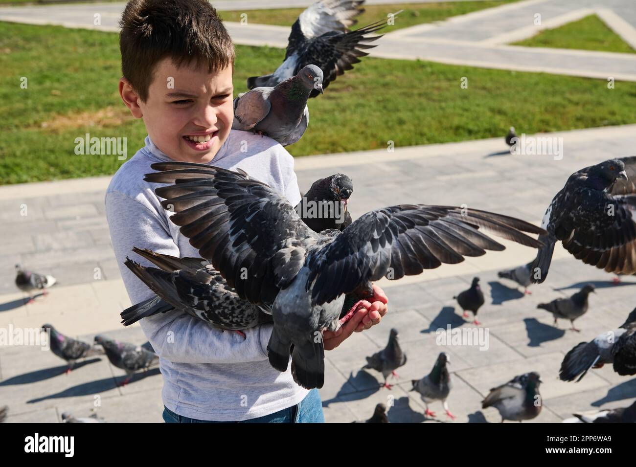Caucasian teen boy feeding flock of flying pigeons in the summer city ...