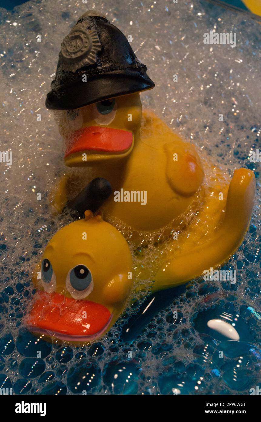 Funny yellow and blue rubber ducks hi-res stock photography and images ...