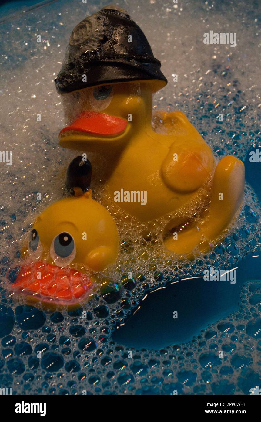 Plastic duck hi-res stock photography and images - Alamy